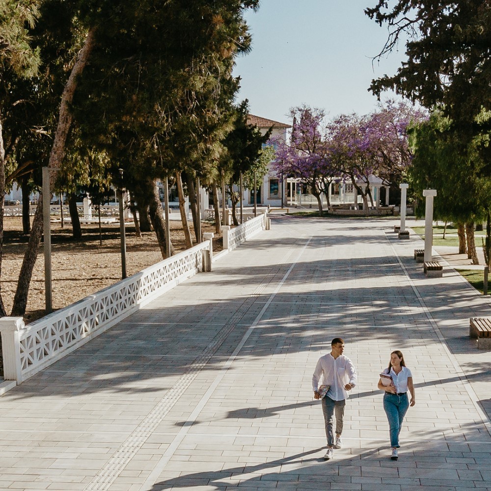 Enavsma Foundation: Χορήγηση υποτροφιών για το ακαδημαϊκό έτος 2024 ...